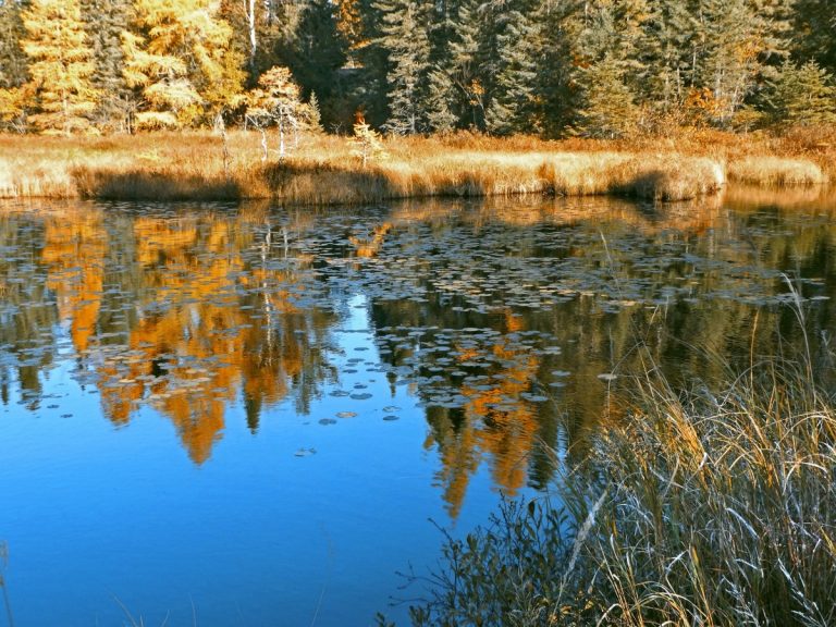 Our Ecosystem – Minnesota Freshwater Quest